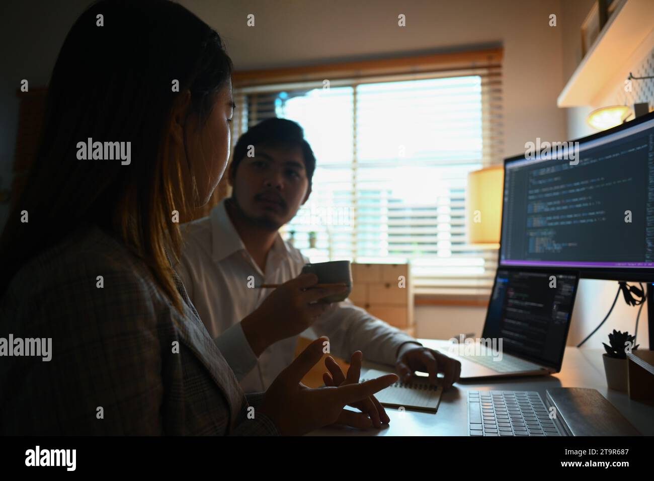 Male and female software developers discussing and programming on desktop computer Stock Photo ...