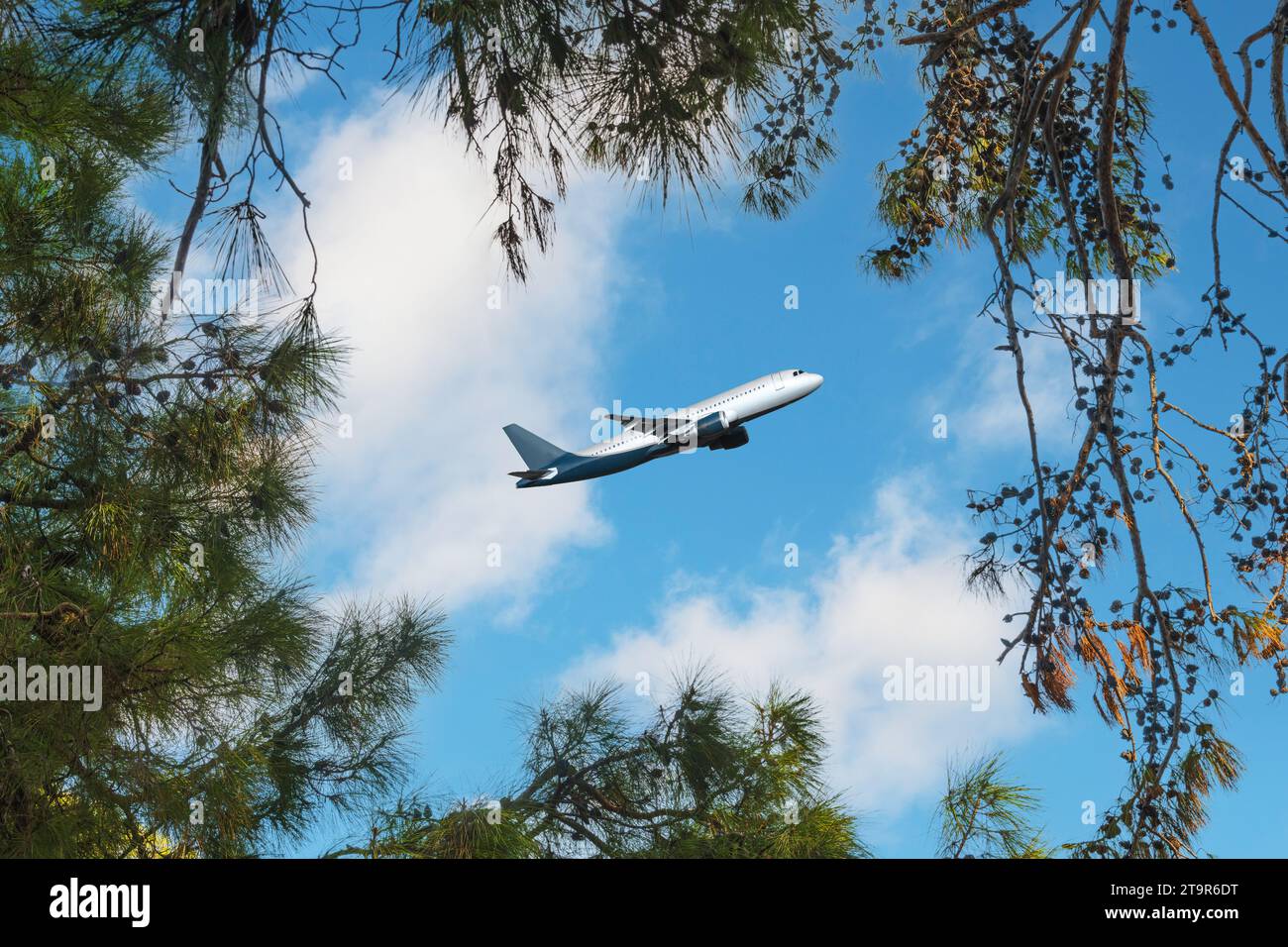 Airplane flying above the forest, bottom view Stock Photo - Alamy
