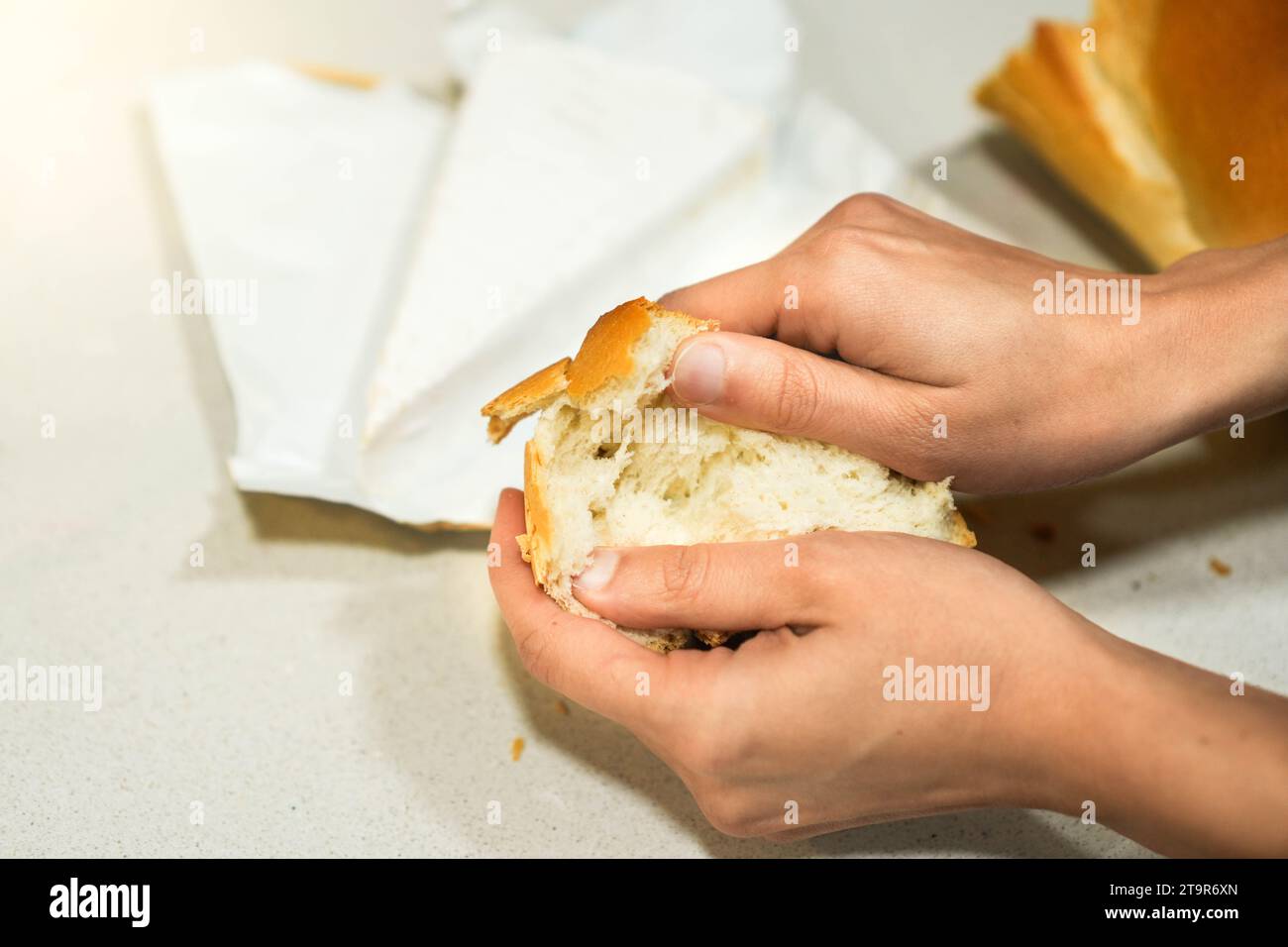 Top view of freshly bread loaf being open by female hands with a piece ...