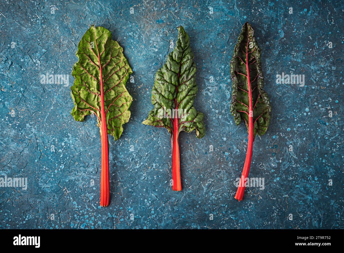 Swiss Rainbow chard, silverbeet or mangold over rustic blue textured ...
