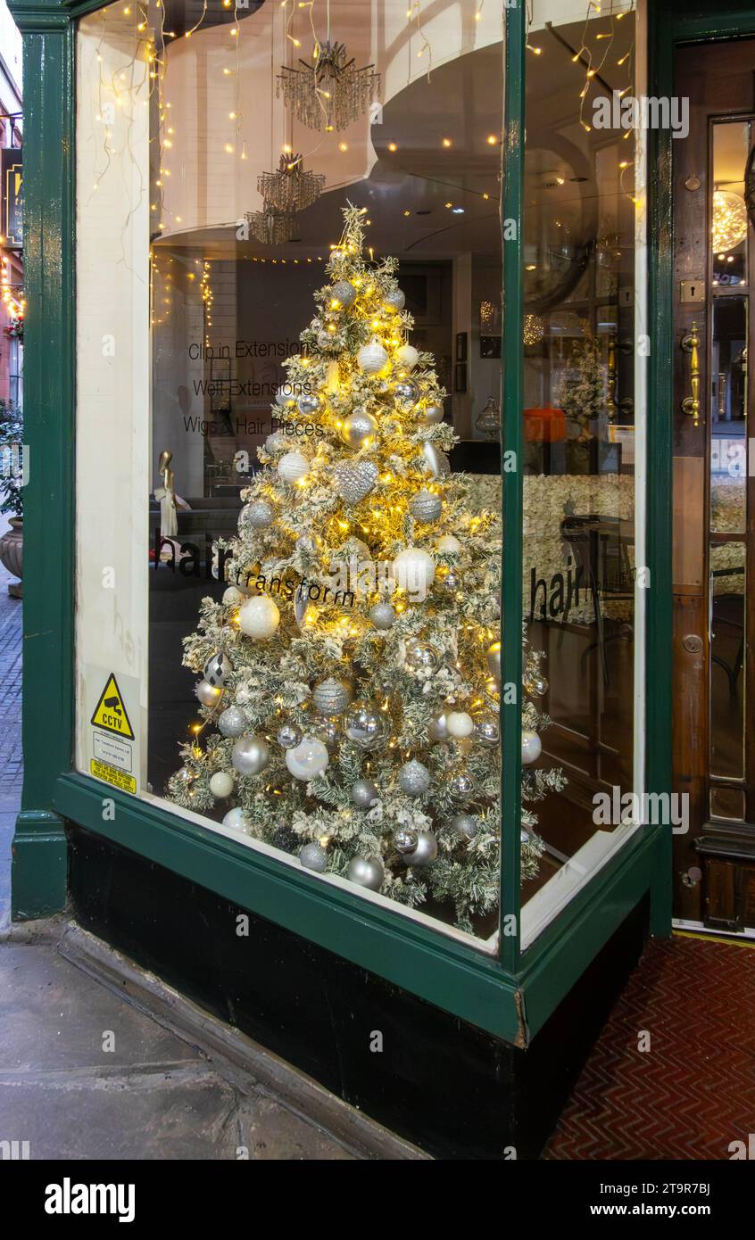 Christmas tree in a Liverpool shop window Stock Photo - Alamy