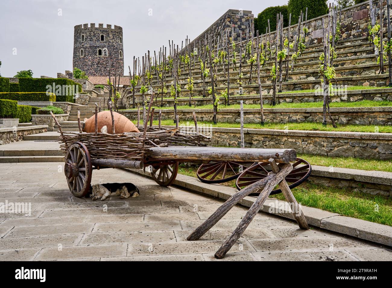 Alter Karren mit einem Quevri, Kwewri, Weinberg der Burganlage Rabati ...