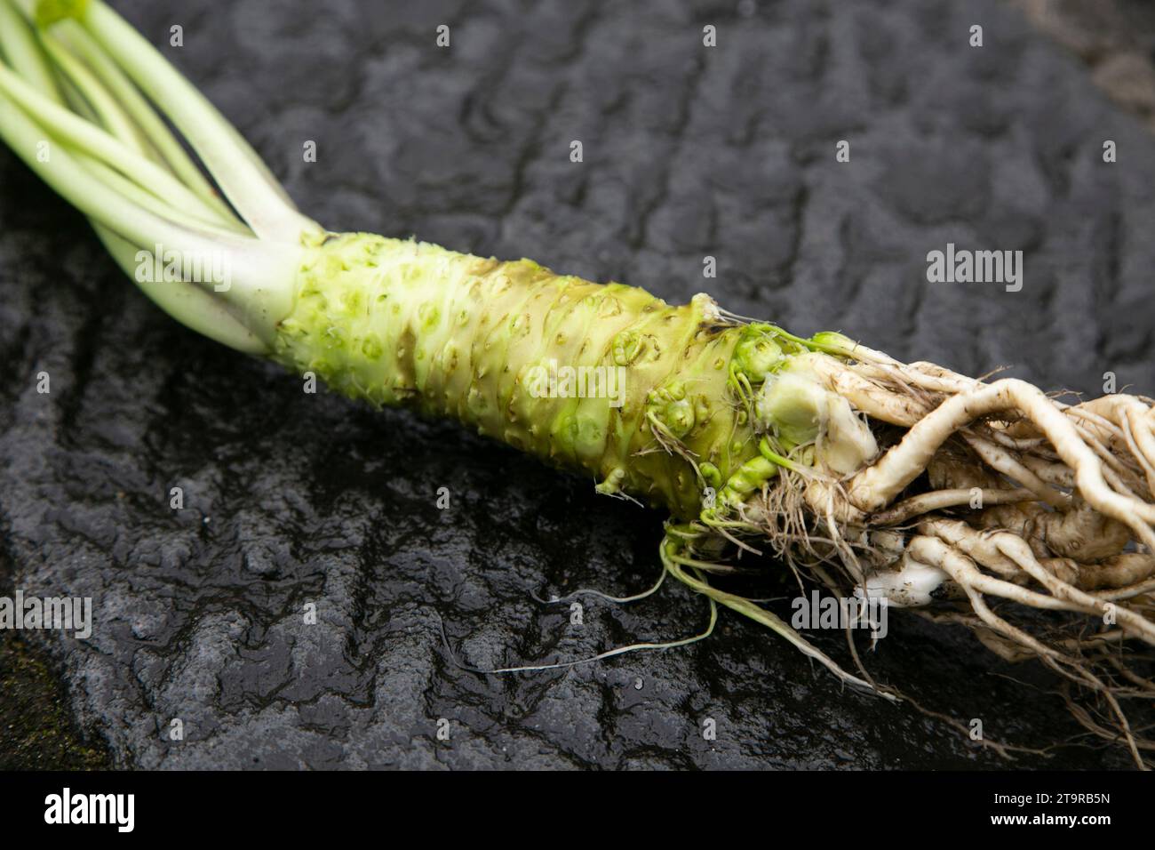 Product special hi-res stock photography and images - Alamy