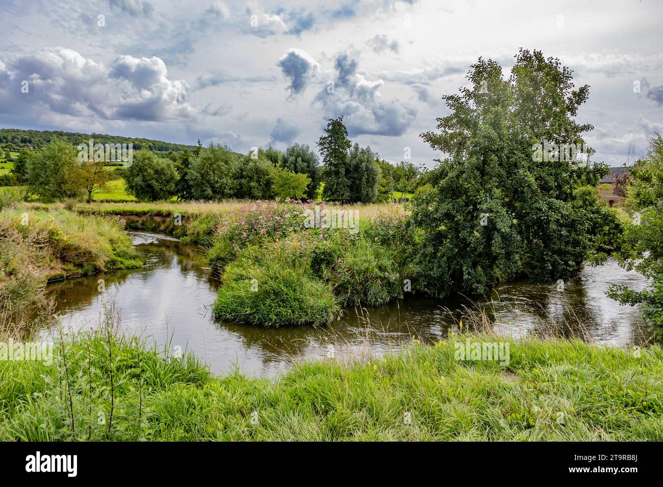 Dutch countryside landscape with winding Geul river among wild ...