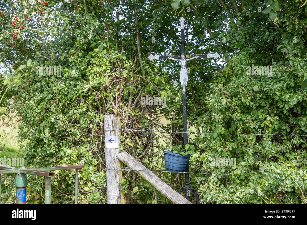Epen Bronnenland nature reserve, wooden post with hiking trail arrow ...