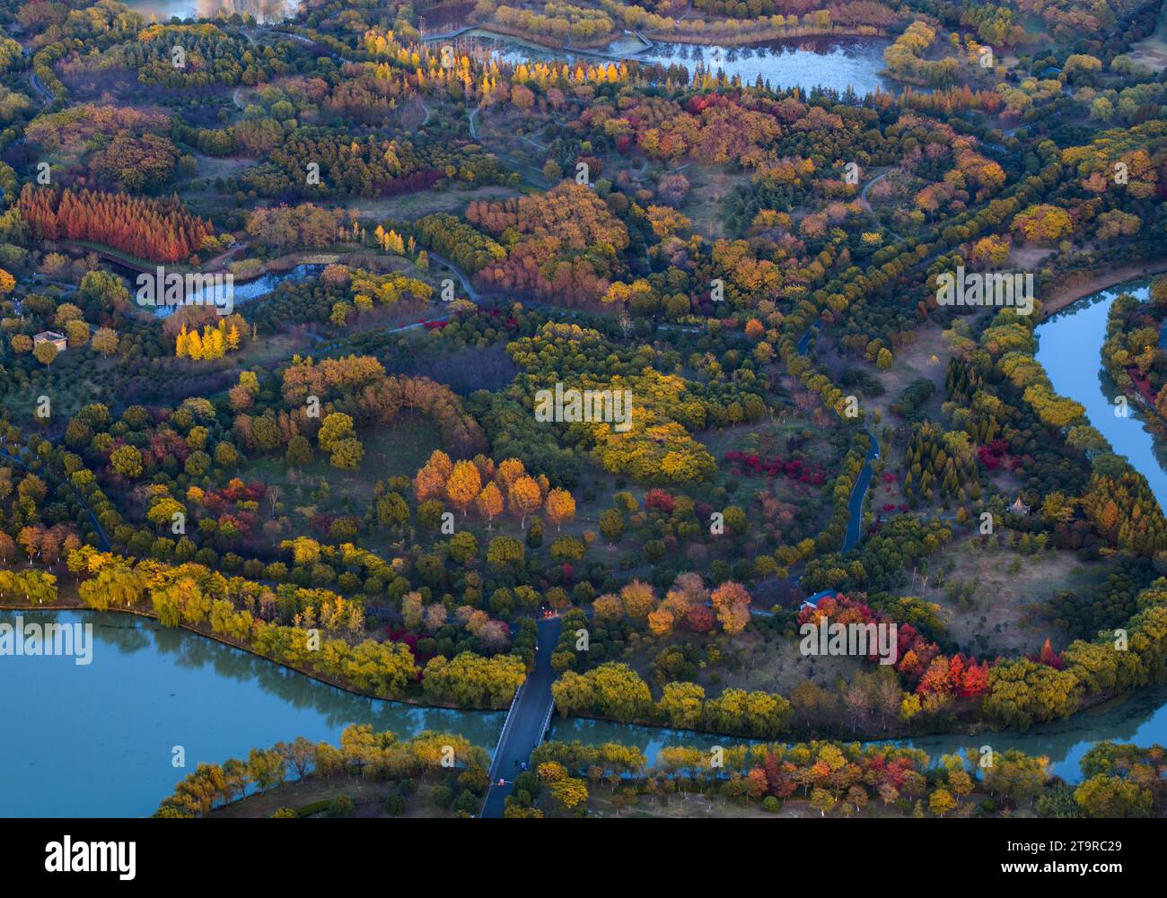 Aerial photo shows the early winter scenery of a forest park in Huai'an ...