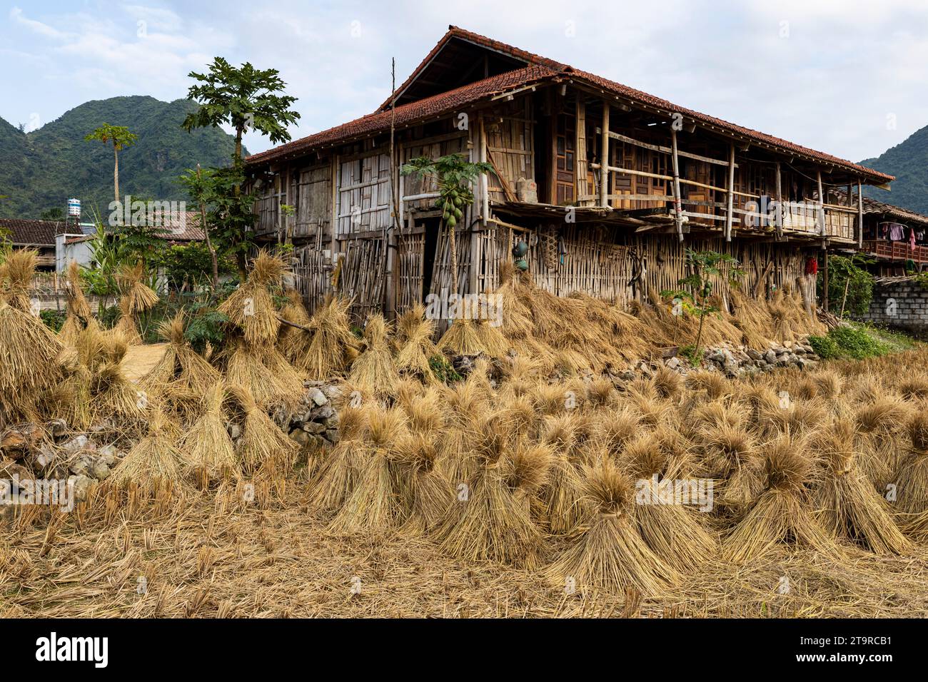 Farmhouse with rice field in the Bac Son Valley Vietnam Stock Photo - Alamy