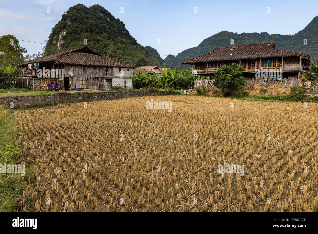 Farmhouse with rice field in the Bac Son Valley Vietnam Stock Photo - Alamy