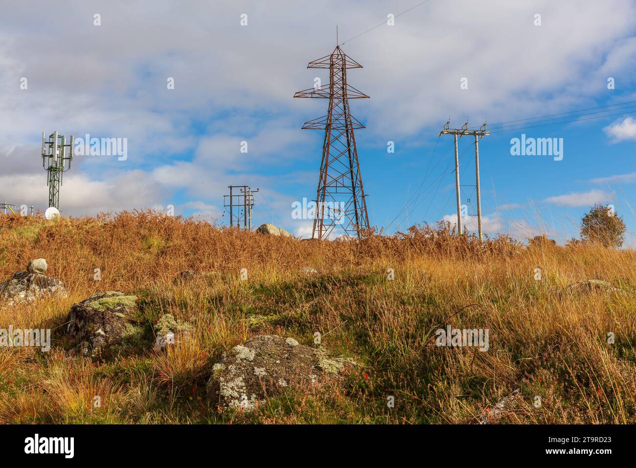 Electricity pylon and telegraph poles erected on moorland in a very ...