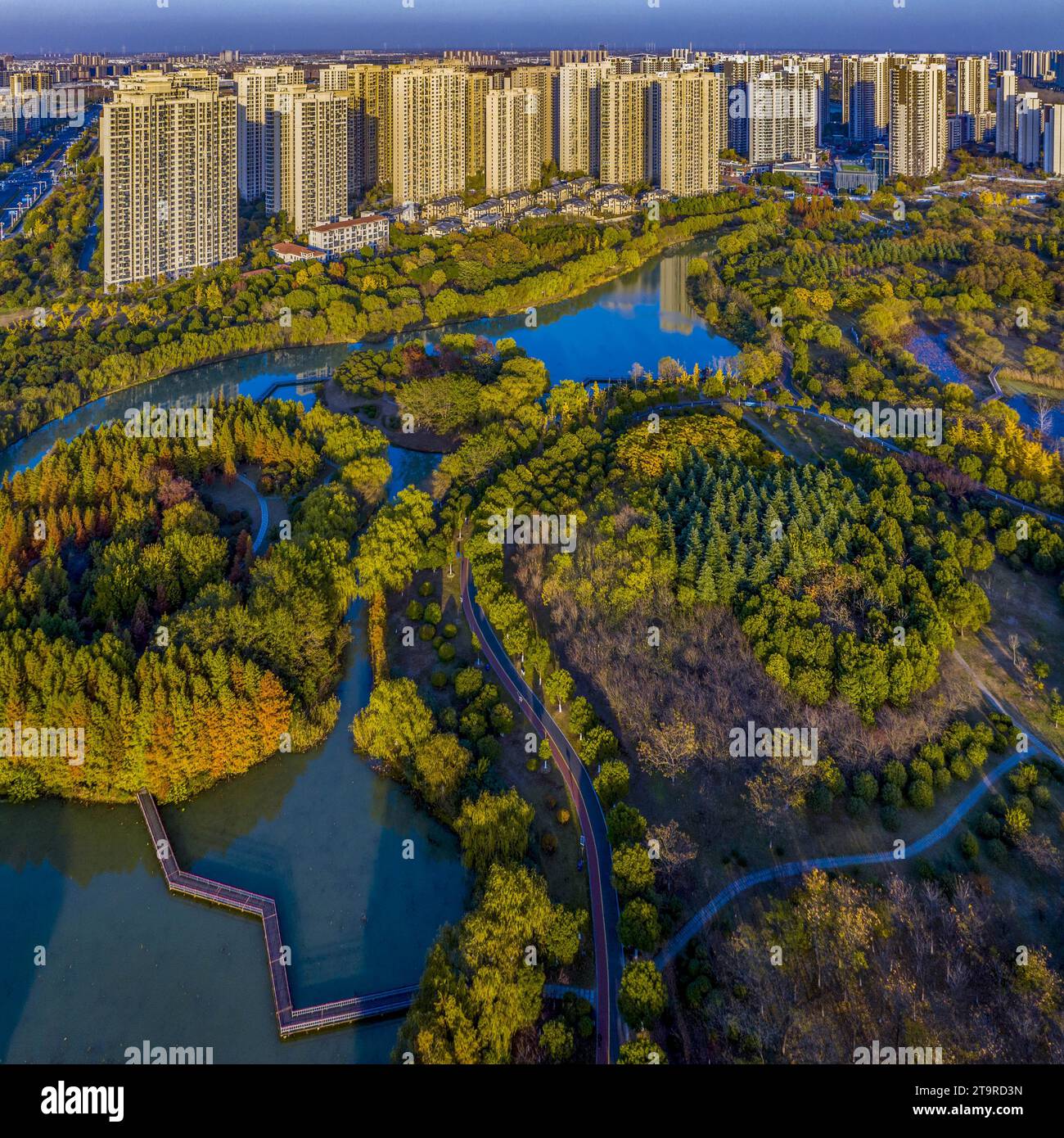 Aerial photo shows the early winter scenery of a forest park in Huai'an ...