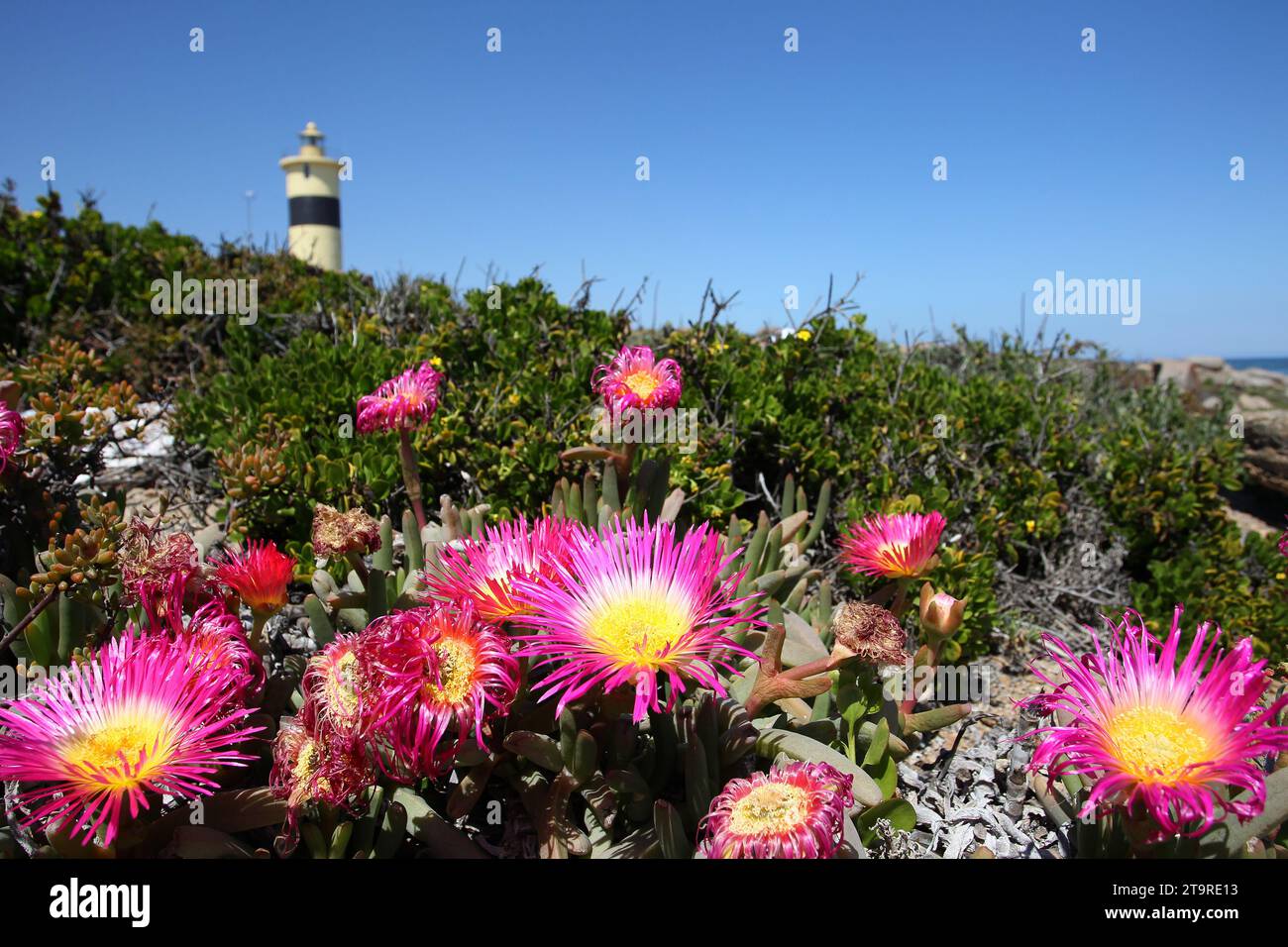 Living in a lighthouse hi-res stock photography and images - Alamy