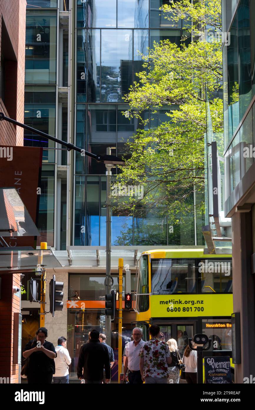 City buildings, Chews Lane, Wellington, North Island, New Zealand Stock ...