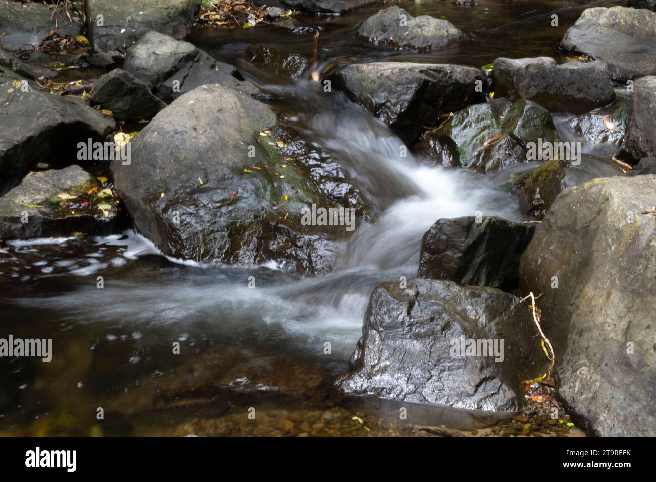 Kaitawa reserve hi-res stock photography and images - Alamy