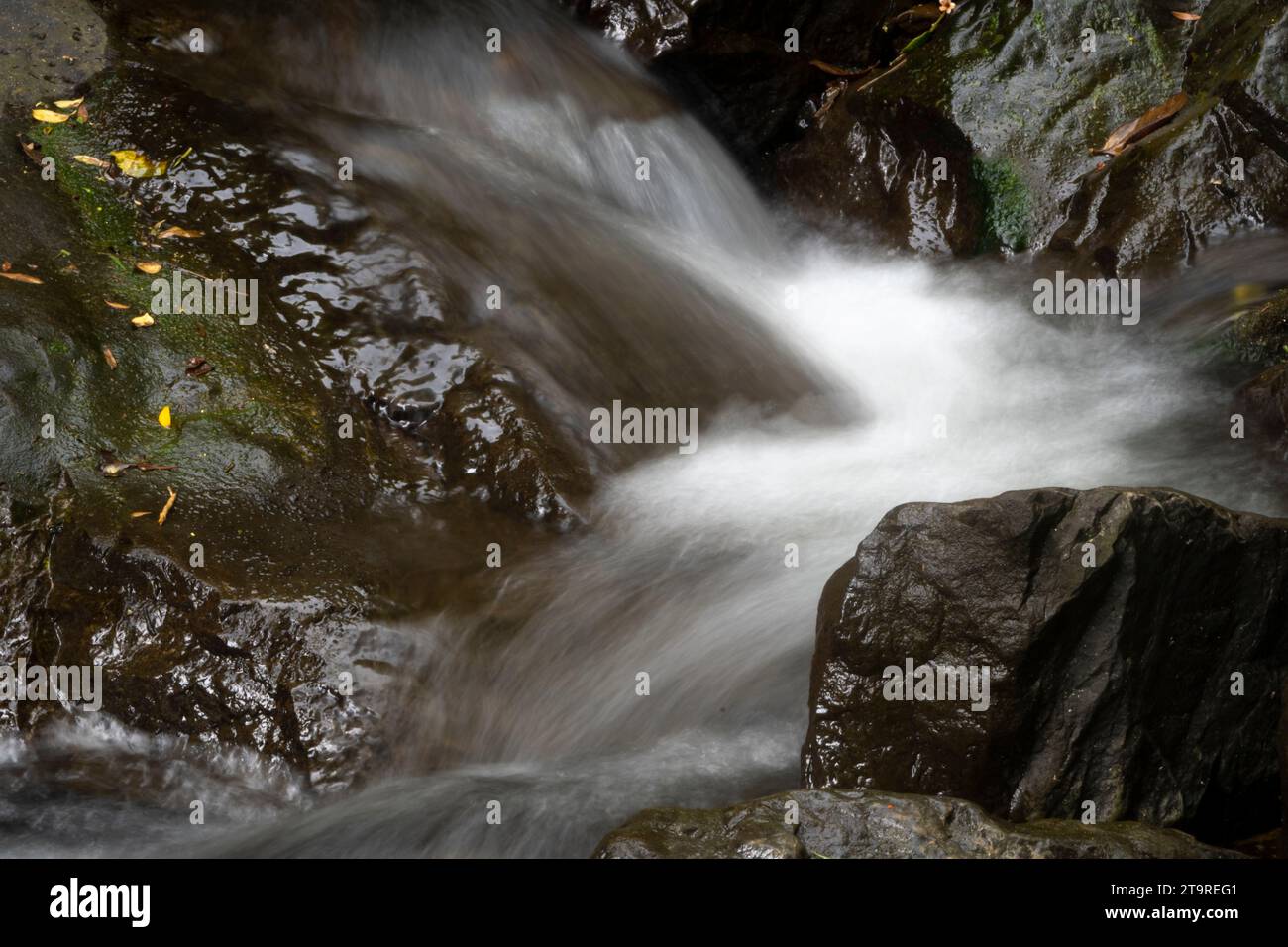 Stream flowing over rocks, Kaitawa Reserve, Paraparaumu, Kapiti ...