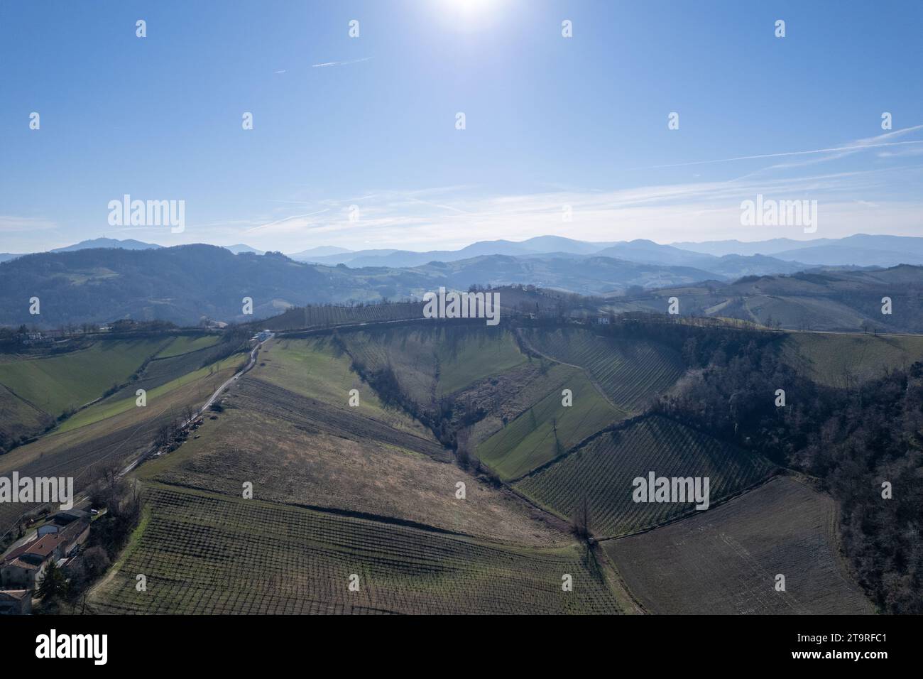 aerial drone photo panoramic view of wine yards rows during winter time ...