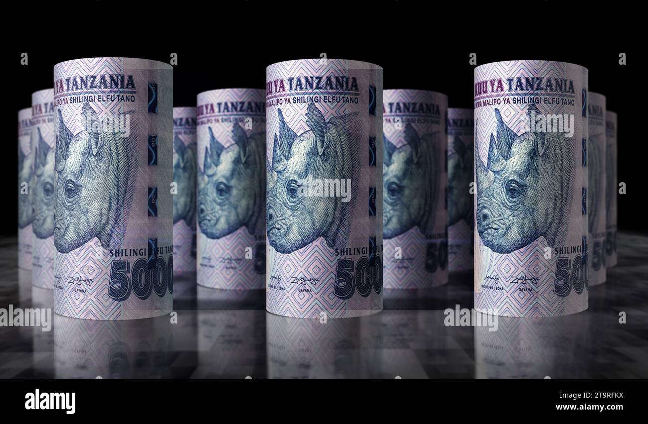 Tanzania money Tanzanian shilling money roll 3d illustration. 5000 TZS ...