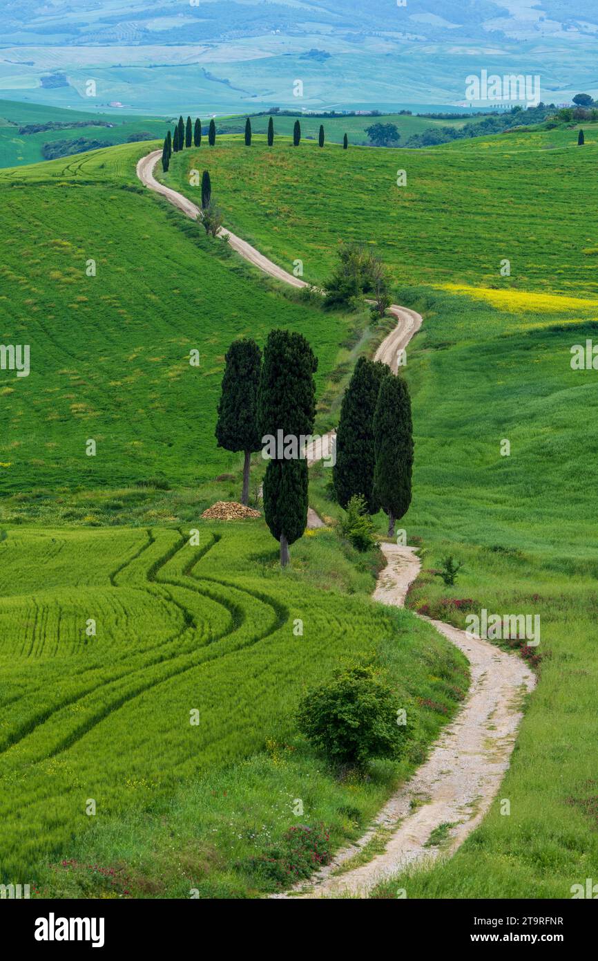 Path to hill house through cypress trees and sunrise view of stunning ...