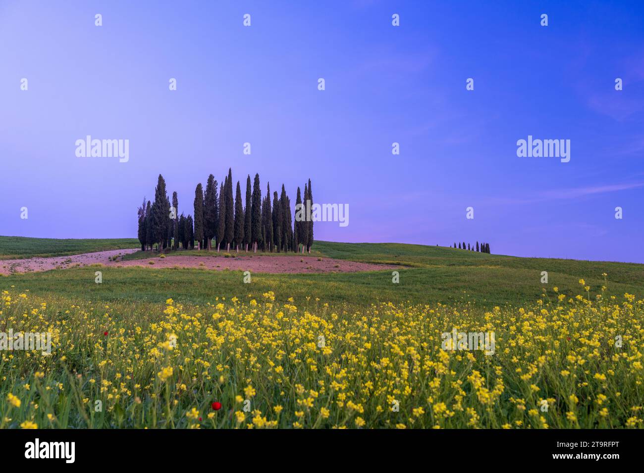 Path to hill house through cypress trees and sunrise view of stunning ...