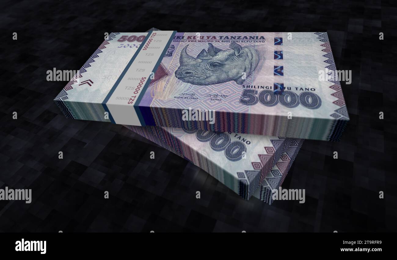 Tanzania money Tanzanian shilling money pack 3d illustration. 5000 TZS ...