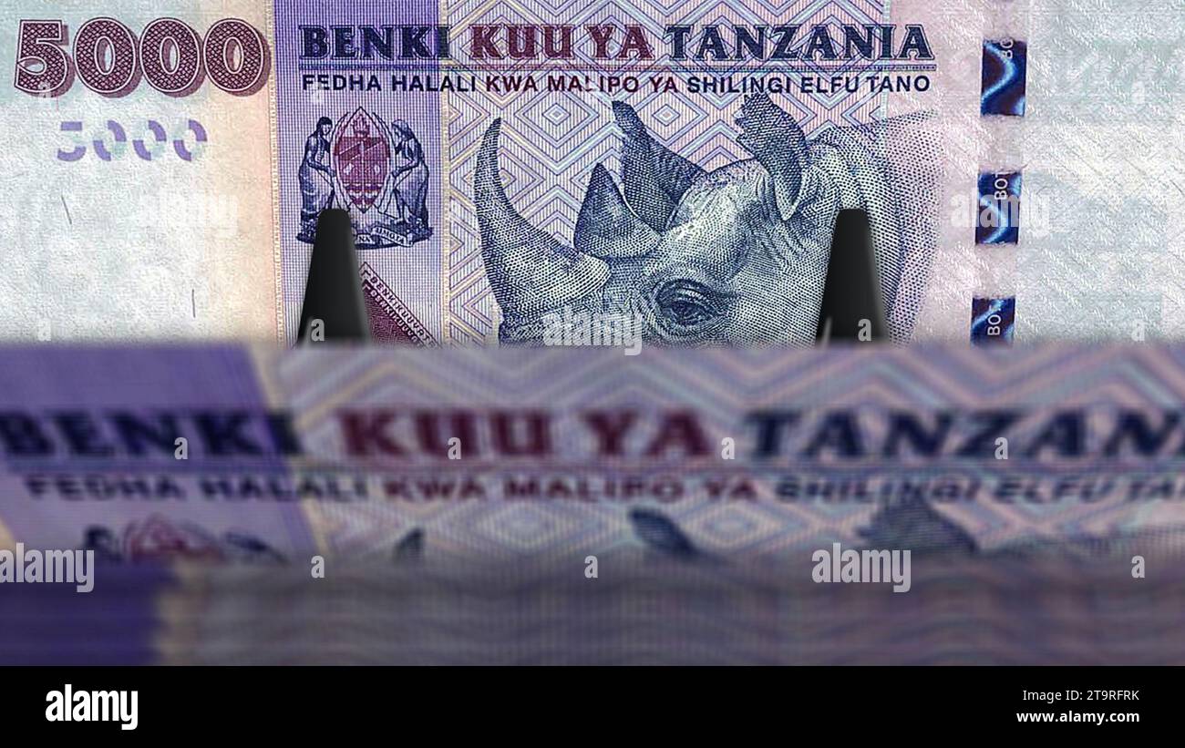 Tanzania money Tanzanian shilling money pack 3d illustration. 5000 TZS ...
