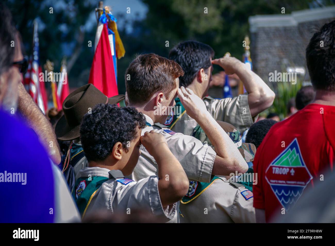 Three boy salute during a Memorial Day Flag Ceremony held at a National ...