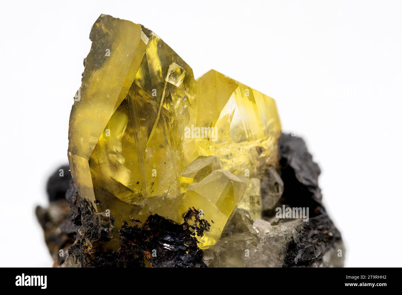 macro close up of natural yellow apatite (golden apatite) crystals ...