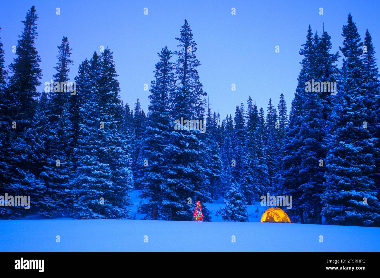 Cameron pass hi-res stock photography and images - Alamy