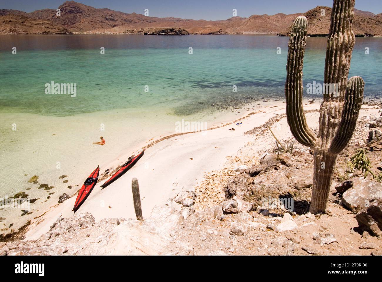 A woman taking a break from sea kayaking in Conception Bay, Baja ...