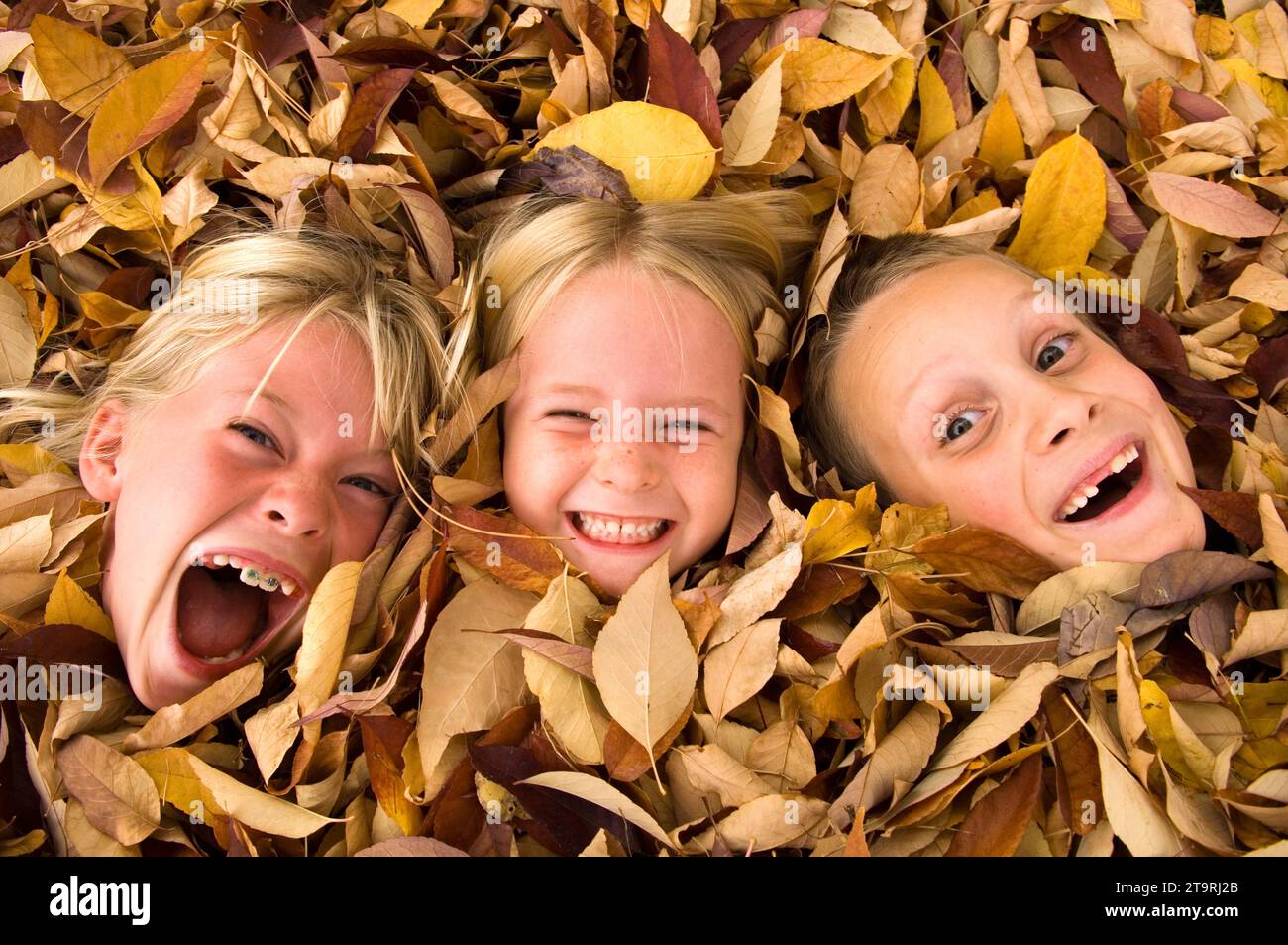 Three kids, two girls and one boy, play in the fall leaves in Fort ...