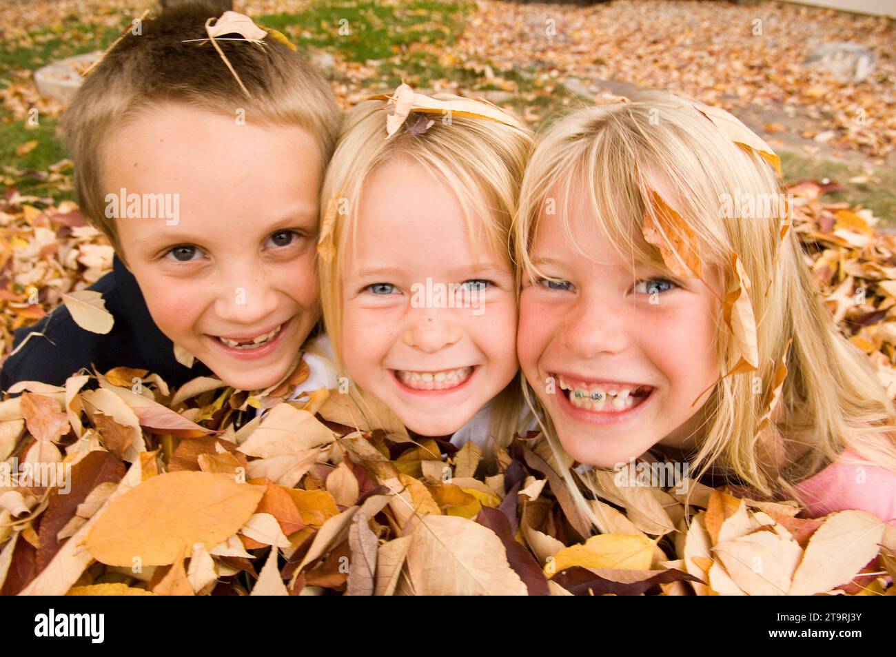 Three kids, two girls and one boy, play in the fall leaves in Fort ...