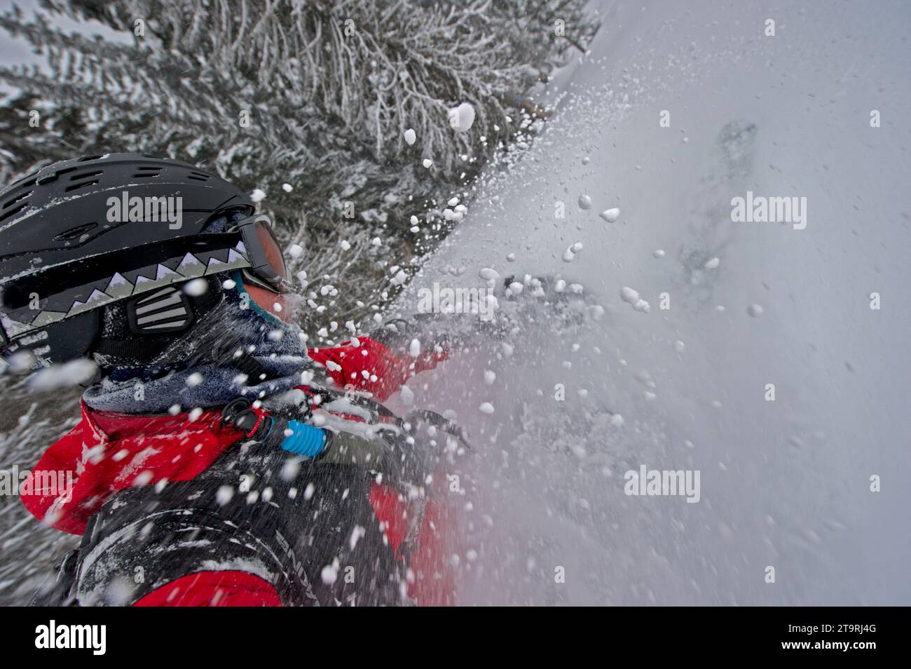Deep powder perspective Stock Photo - Alamy
