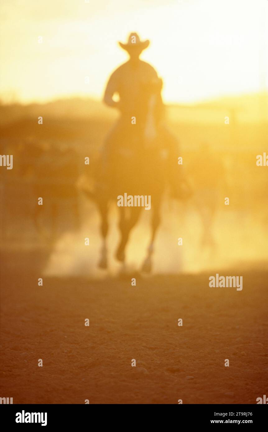 Cowboy rides his horse at sunrise. (blurred back lit Stock Photo - Alamy