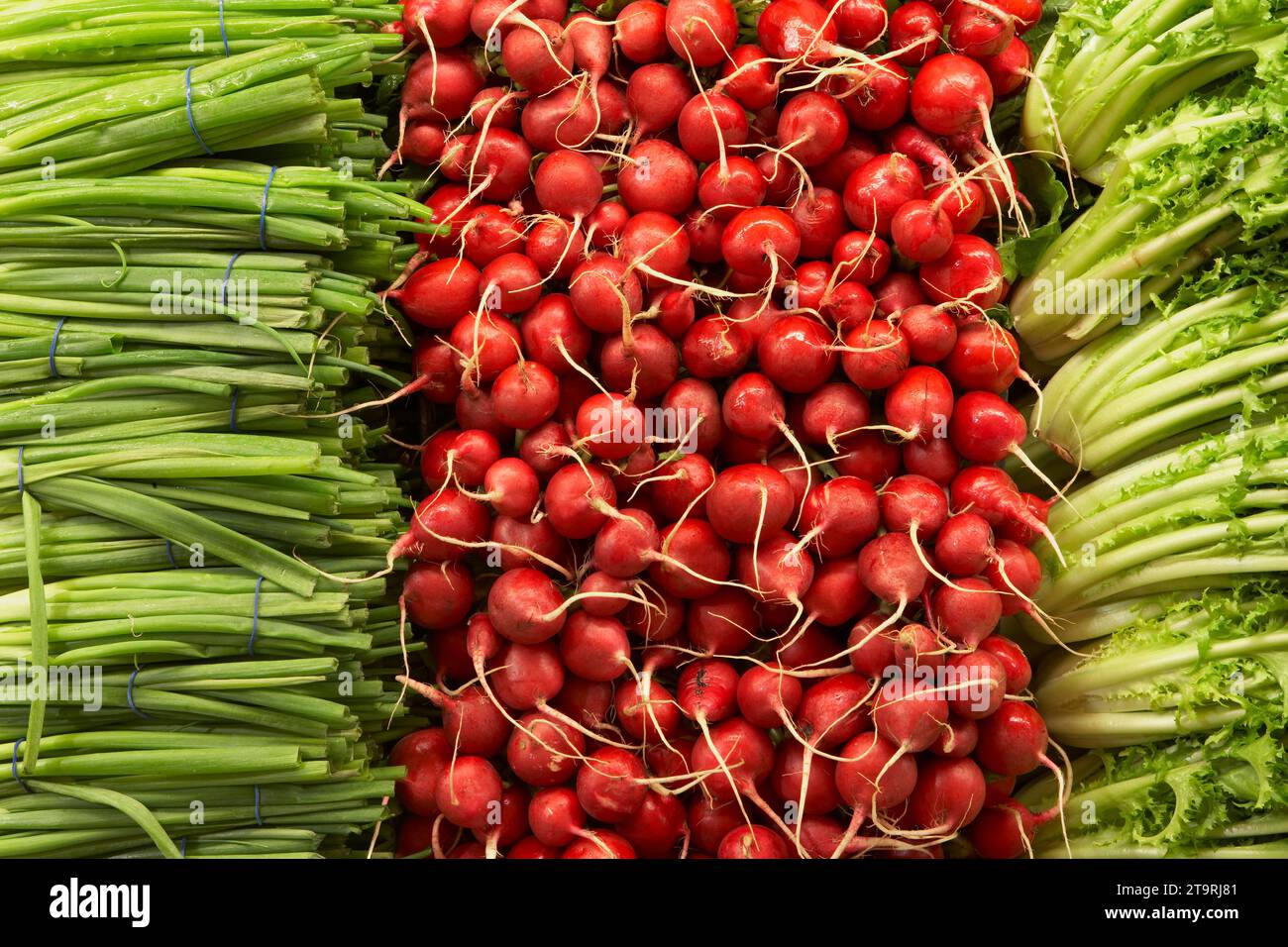 Grocery produce section hi-res stock photography and images - Alamy