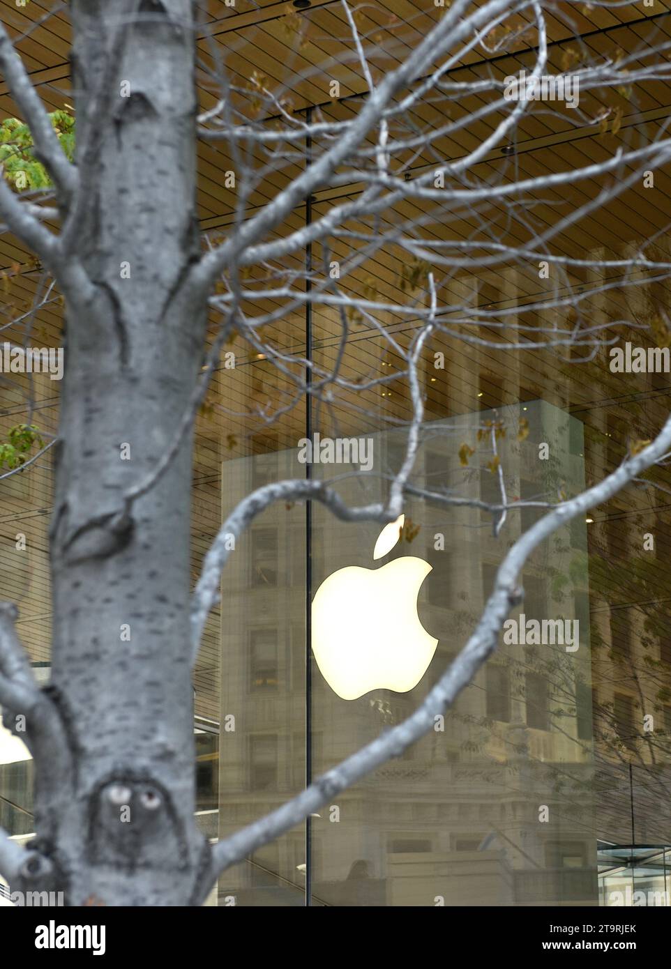 Chicago, USA - June 04, 2018: Apple logo on the Apple store on Michigan ...