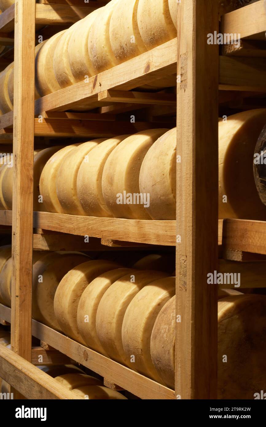 Aged parmesan cheese Stock Photo - Alamy