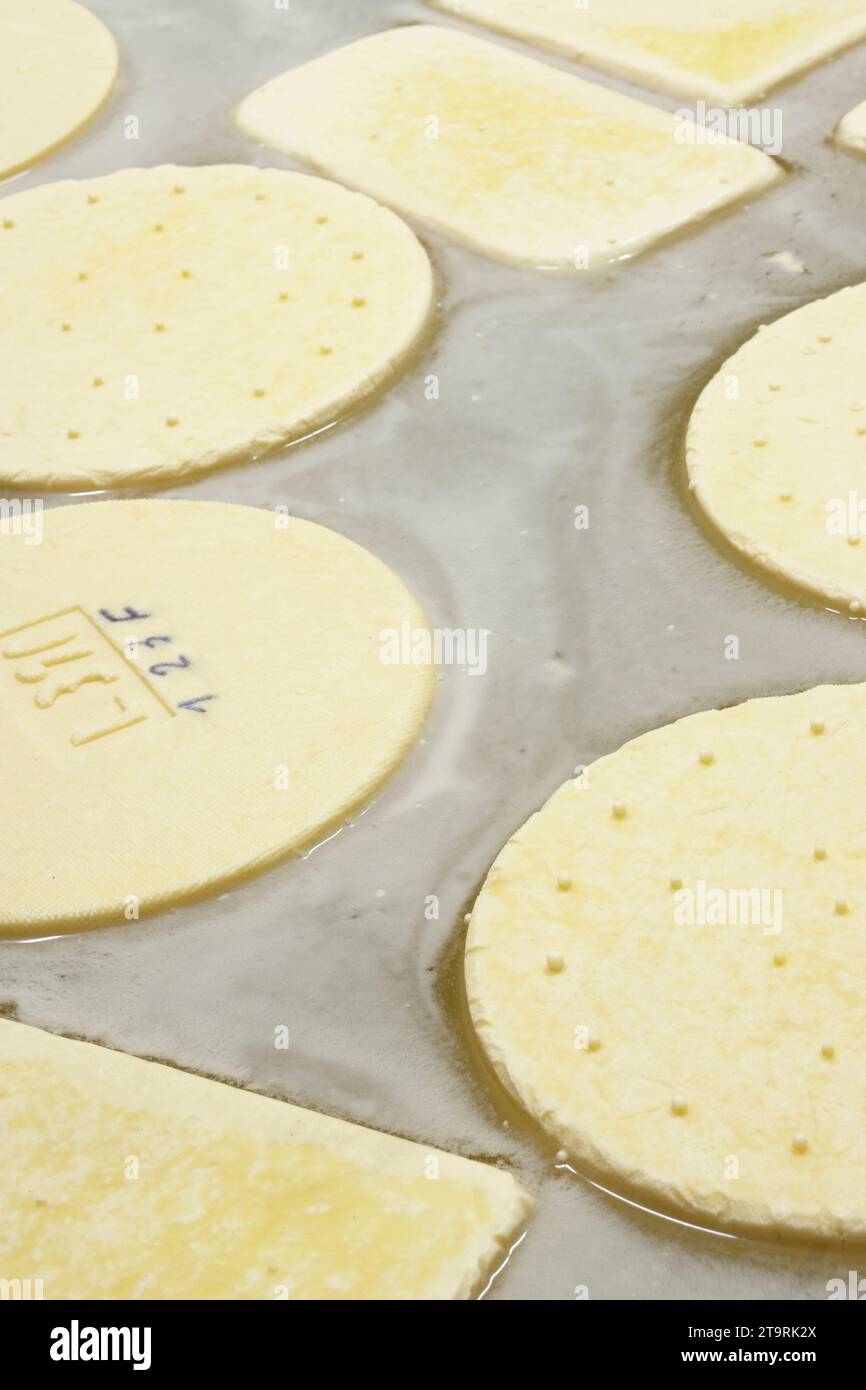 Brine cheese factory hi-res stock photography and images - Alamy