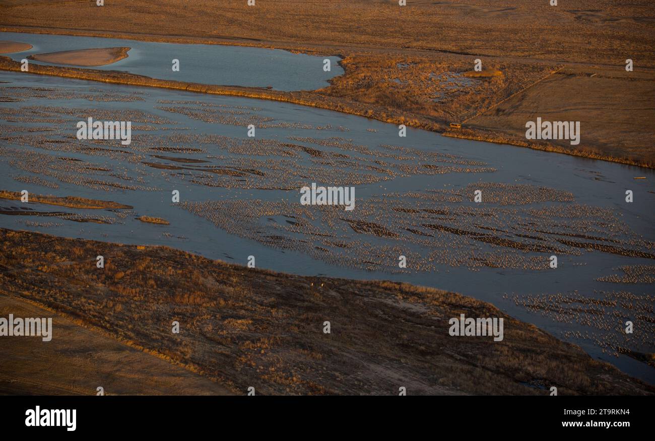Migrating migration hi-res stock photography and images - Alamy