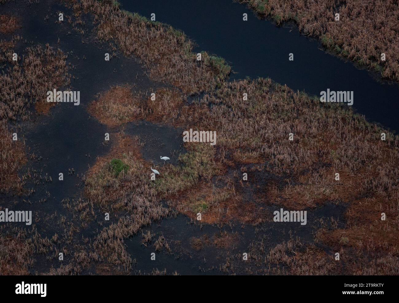Images from Wood Buffalo National Park the nesting ground for the ...