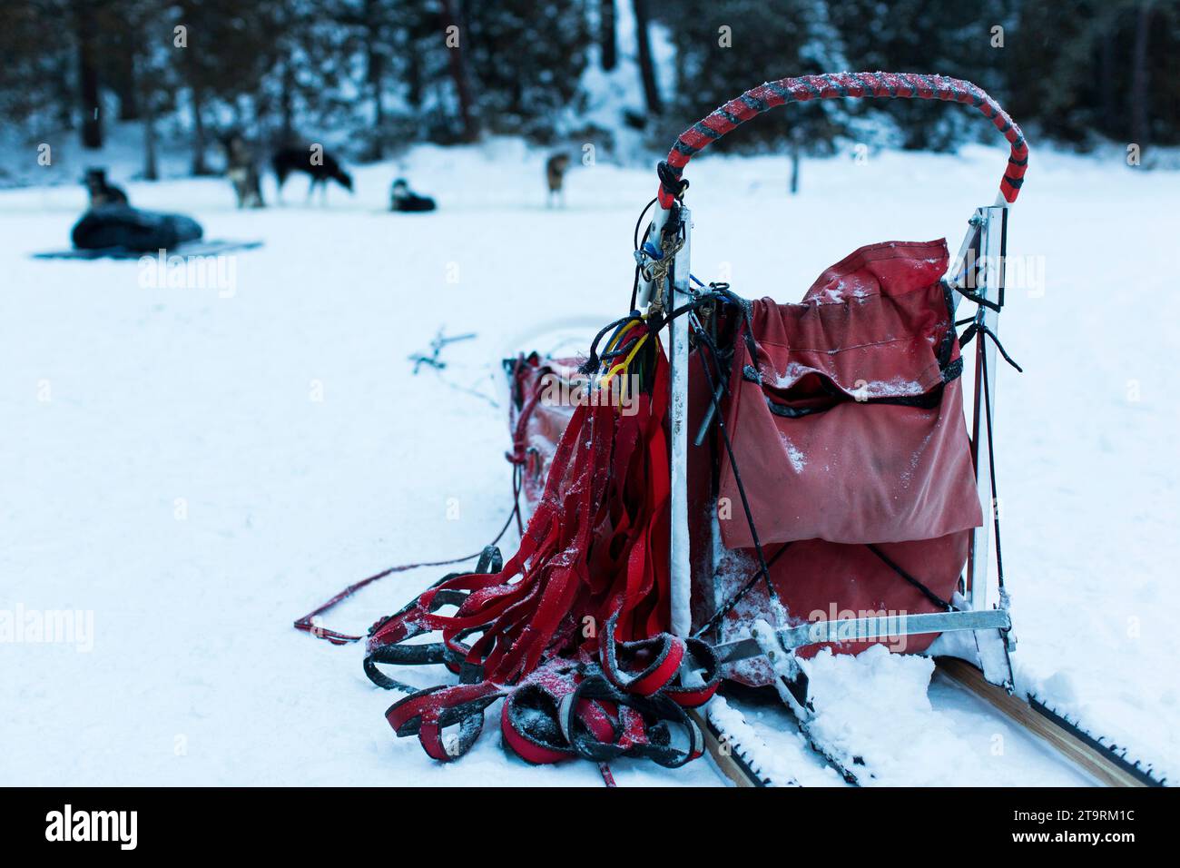 Sled area hi-res stock photography and images - Alamy