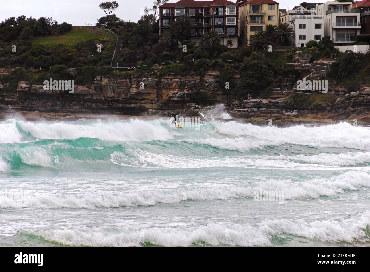 A confident surfer is catching a wave in the ocean, riding on the crest ...