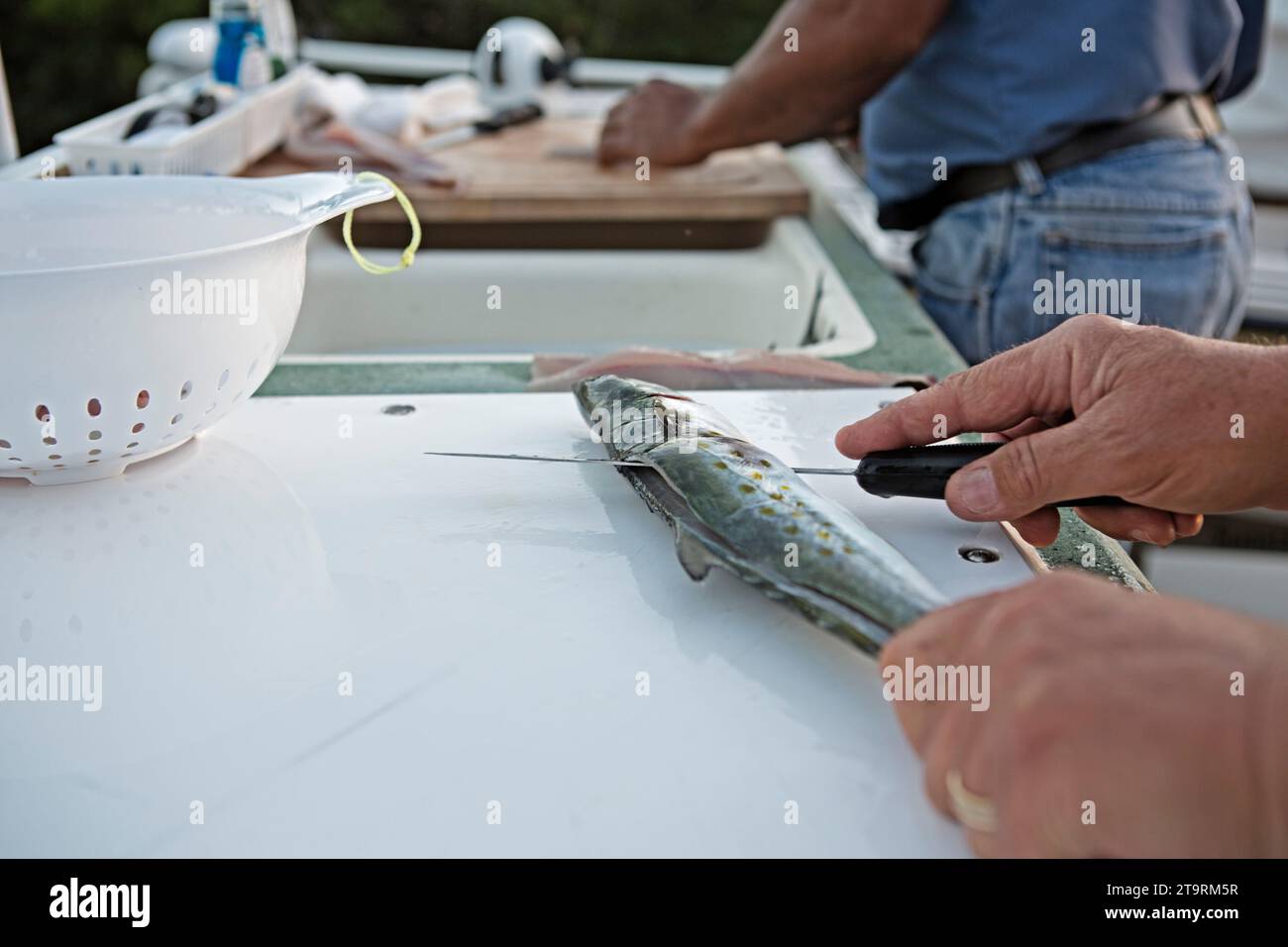 Close up unrecognizable cleaning hi-res stock photography and images ...