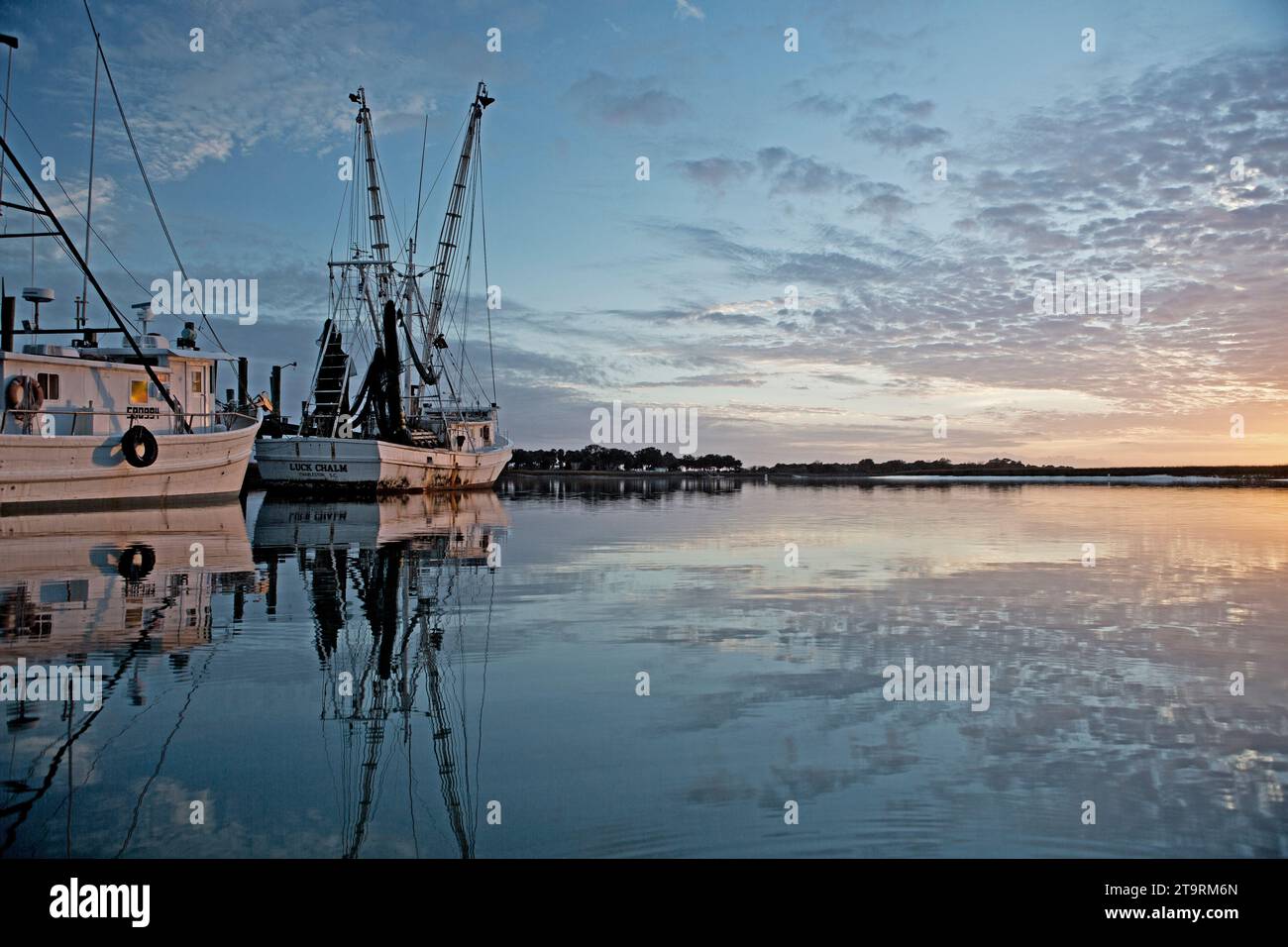 Shrimp silhouette hi-res stock photography and images - Alamy