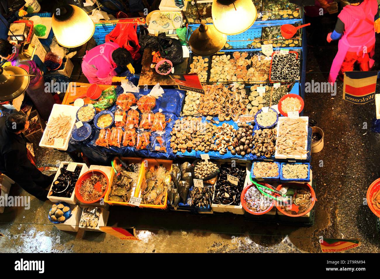 An array of vibrant produce is showcased at an outdoor food market ...