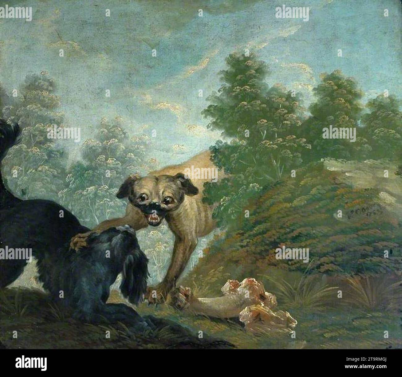 Dogs bone fighting hi-res stock photography and images - Alamy