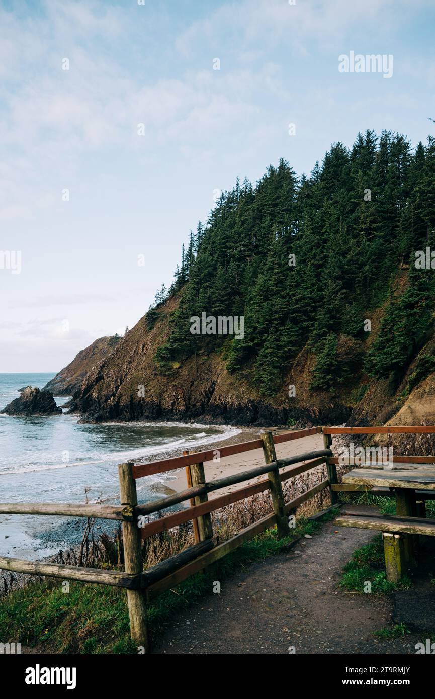 Oregon coastal landscape of trees and ocean Stock Photo - Alamy