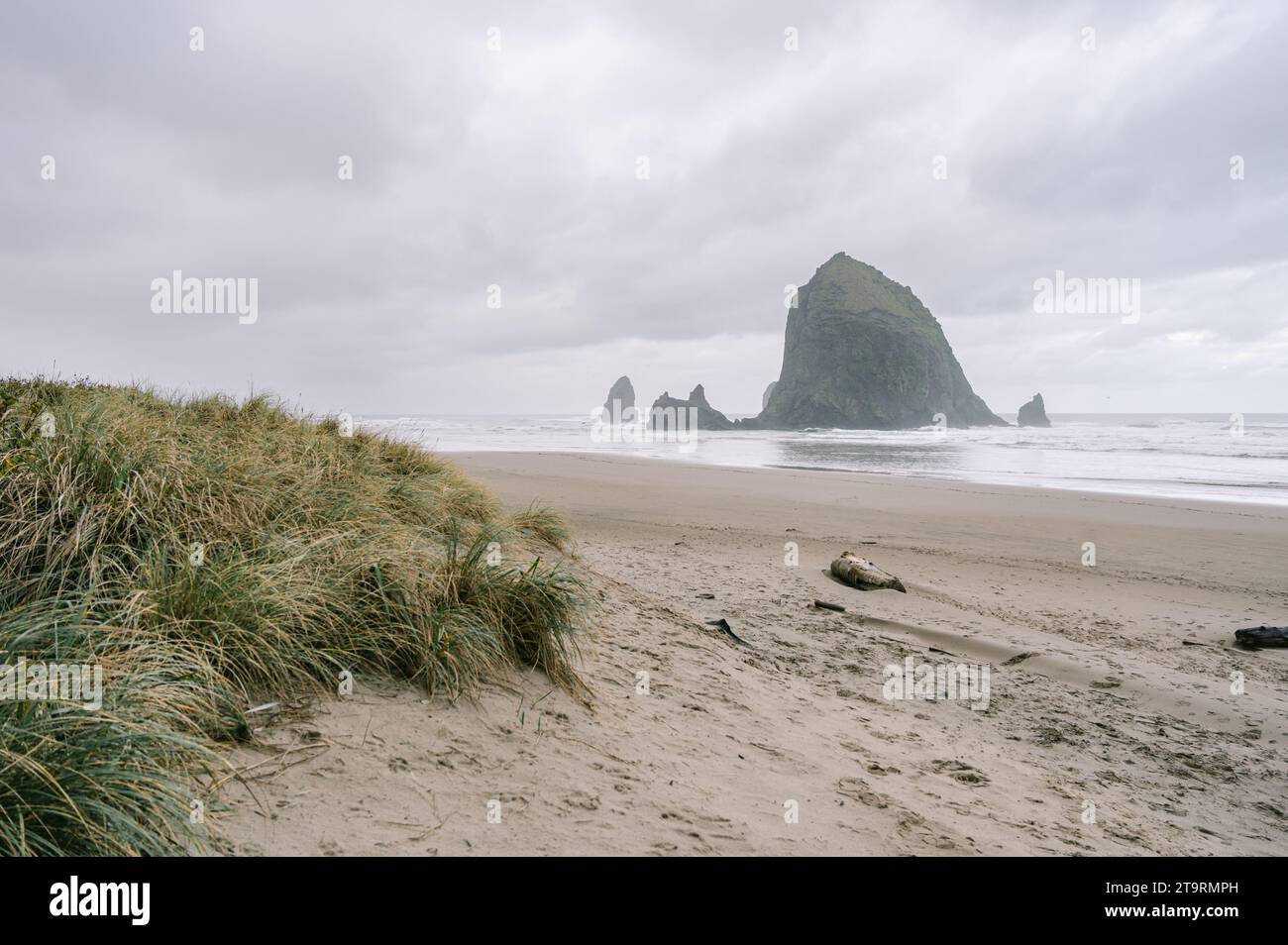 Fall on beach ocean hi-res stock photography and images - Alamy