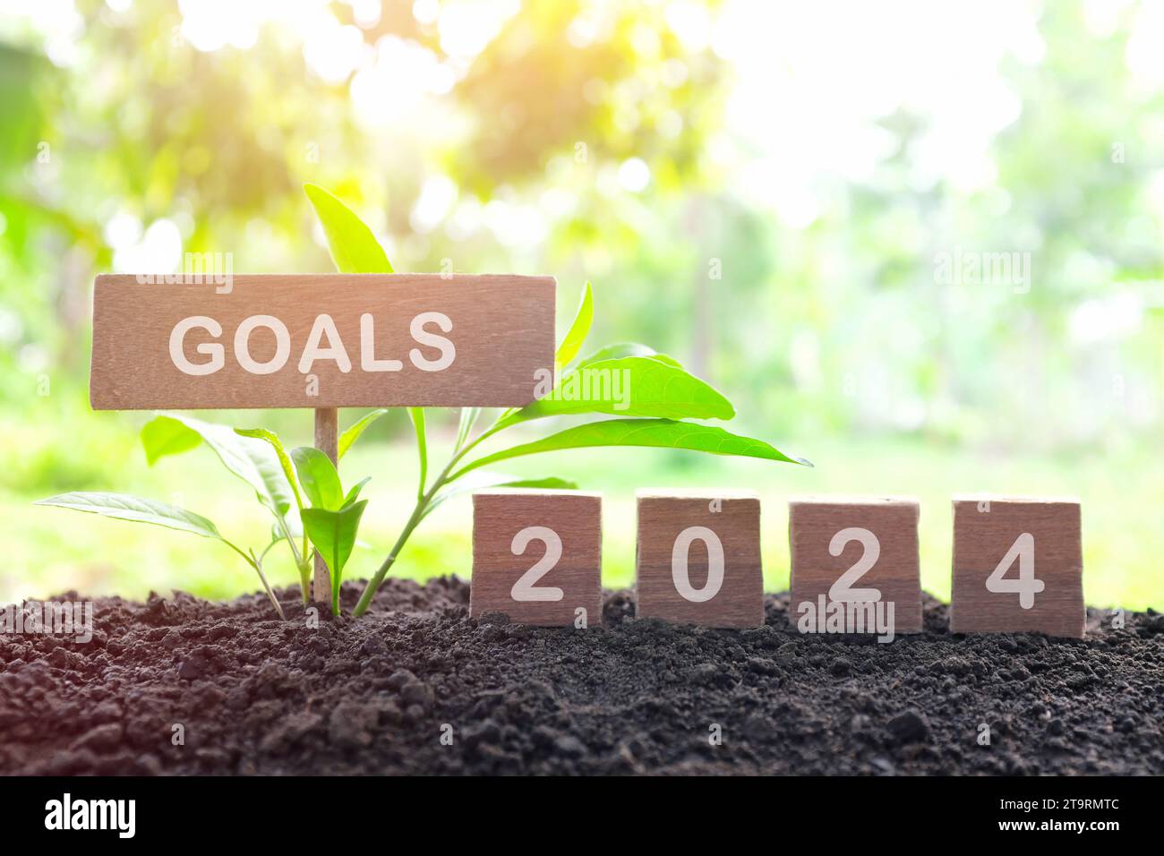 New year 2024 life goal, resolution and new priorities concept. Wooden ...