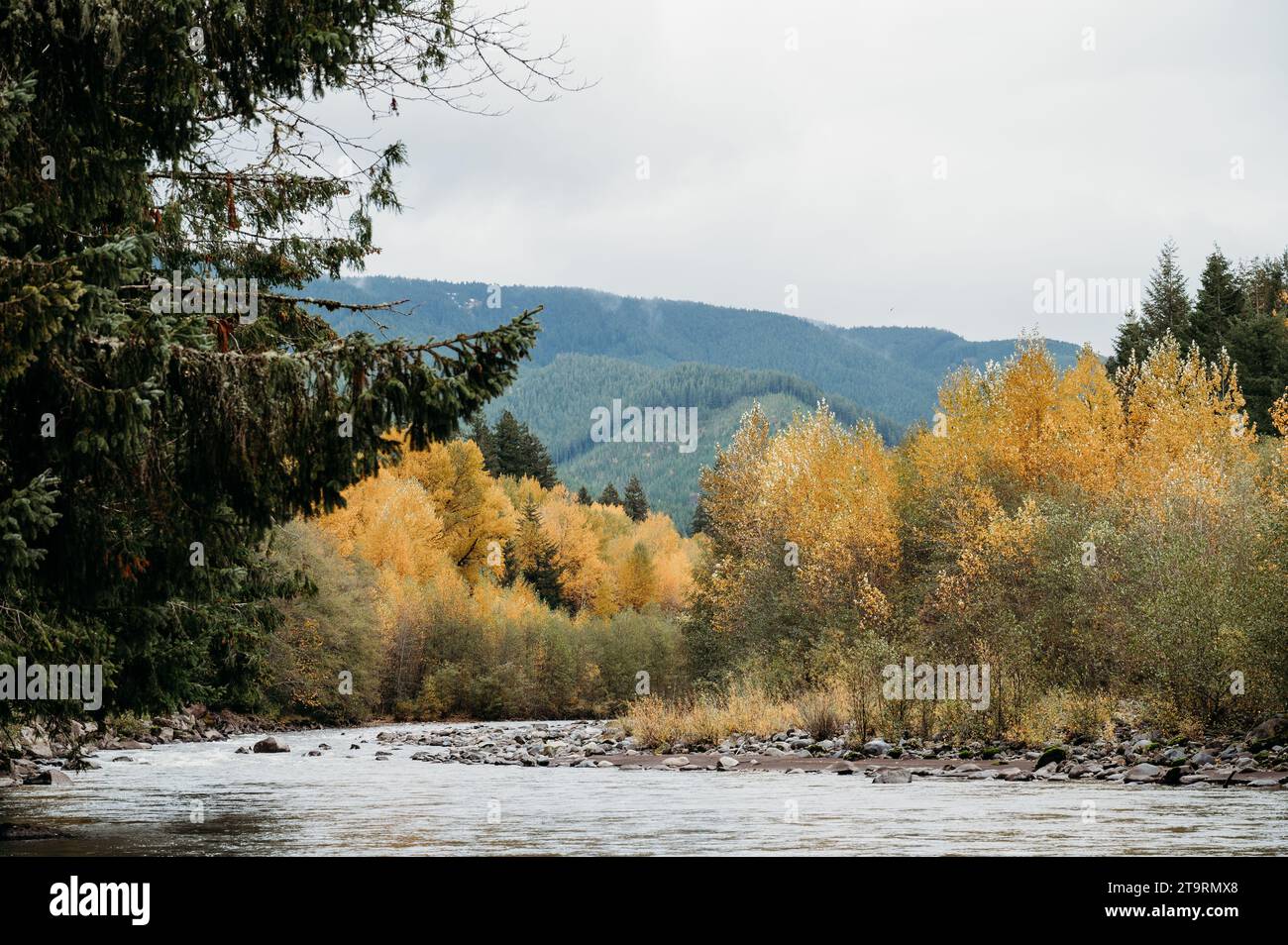 fall foliage along the river in Washington Stock Photo - Alamy