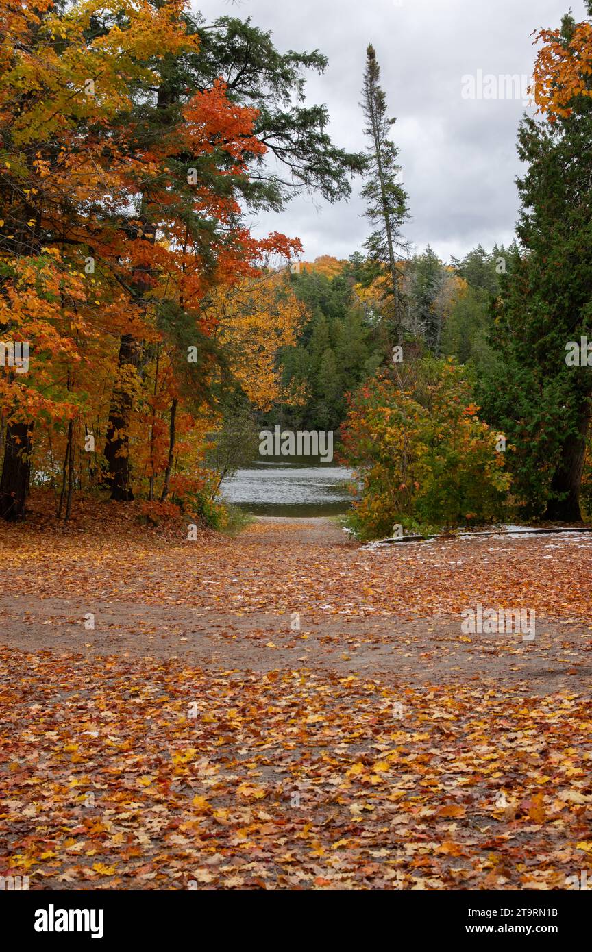 Chilly leaves hi-res stock photography and images - Alamy