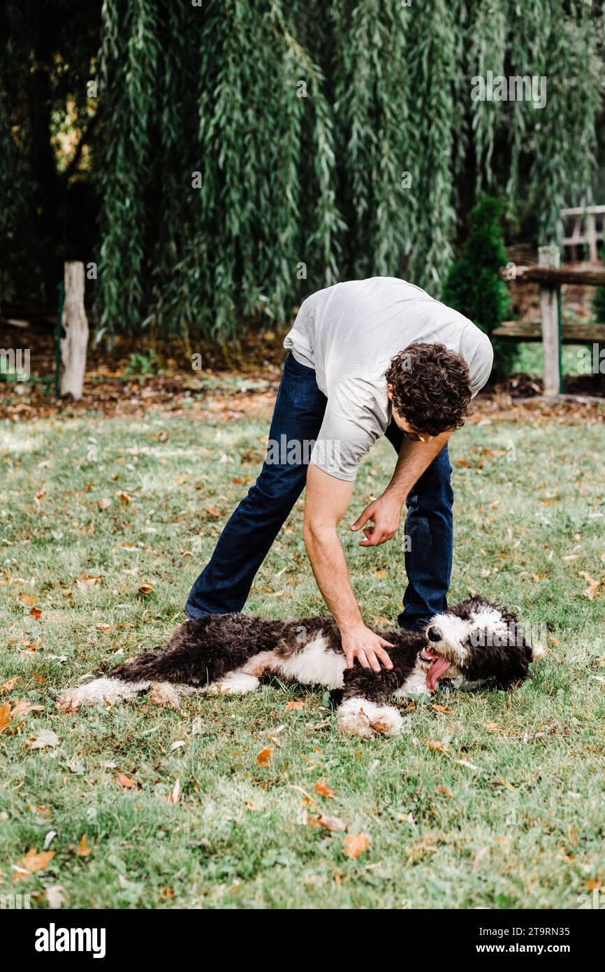Adult play with dog hi-res stock photography and images - Alamy
